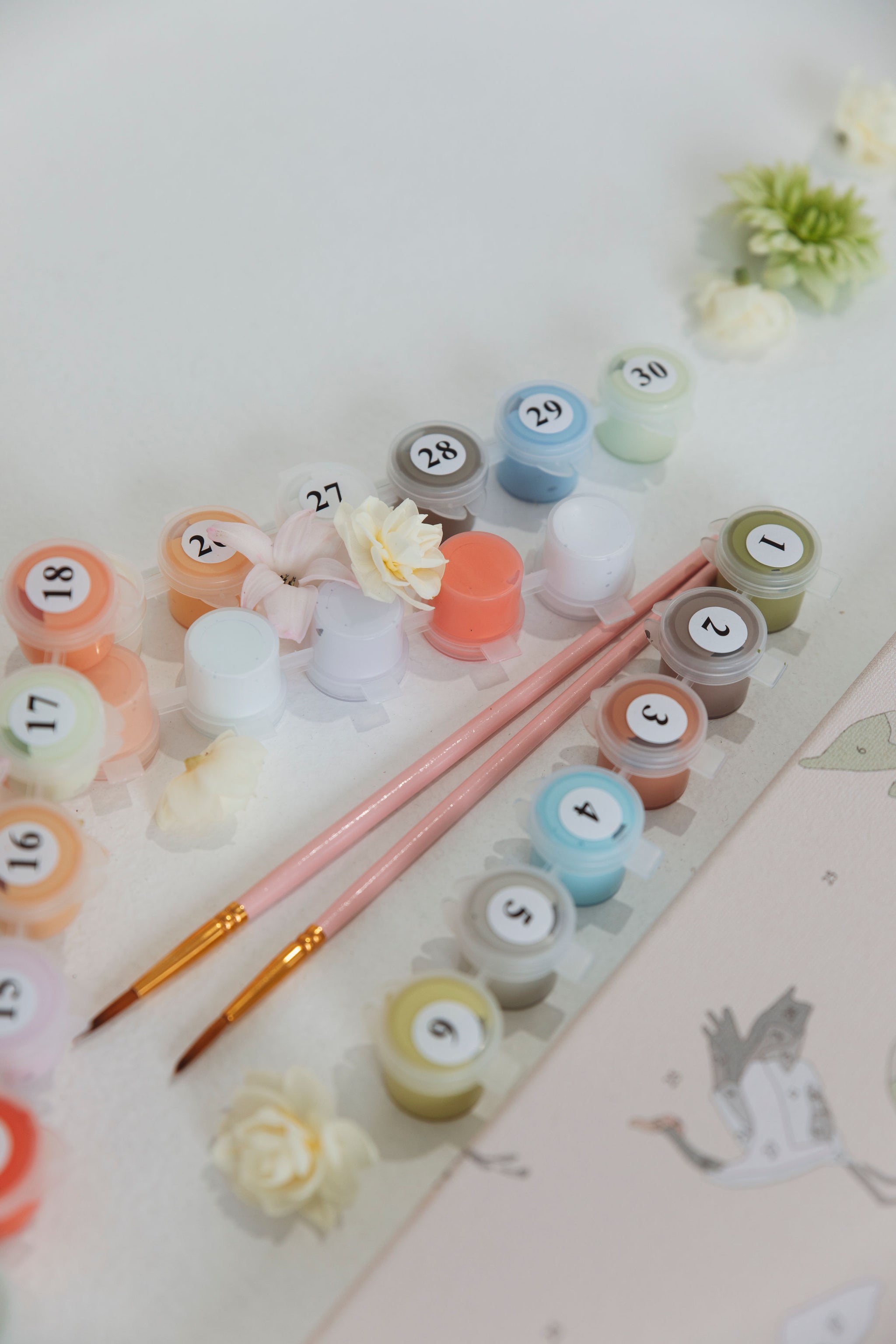 Acrylic Paint Sets for Beginners at Paint Like Frida